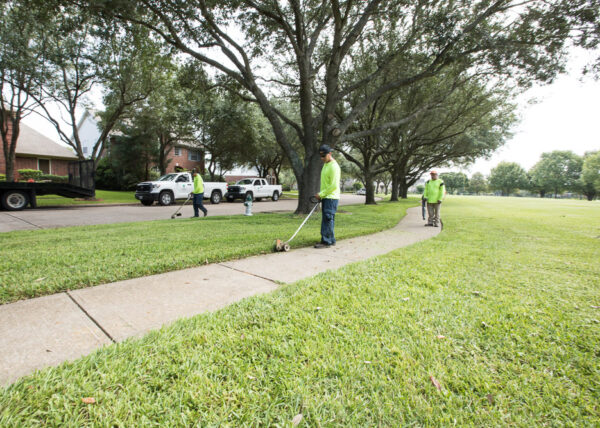 News - Evolution Strategy